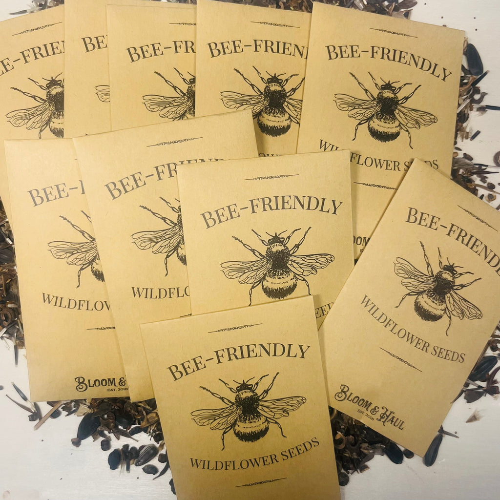 Bee-Friendly Wildflower Seeds – 10 Pack for Pollinators – Bloom + Haul