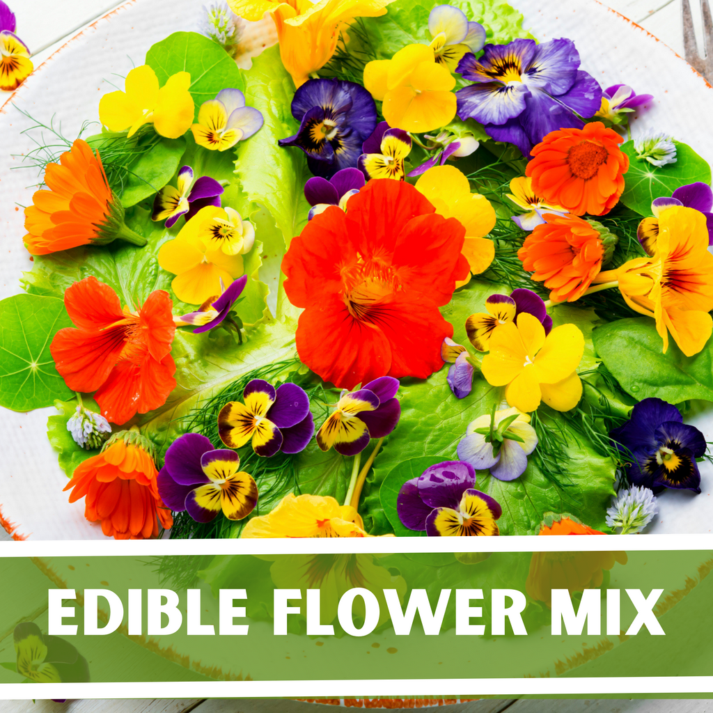 Edible Flower Seed Mix – Bloom + Haul